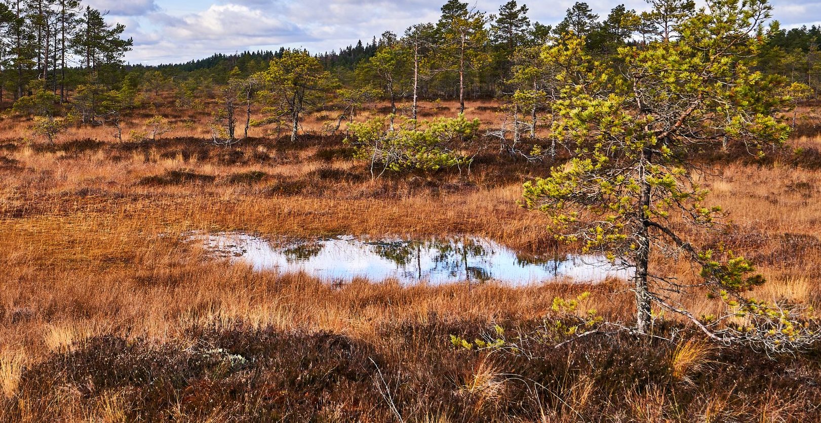 Is Your Septic System in Trouble? Common Signs of System Failure ...